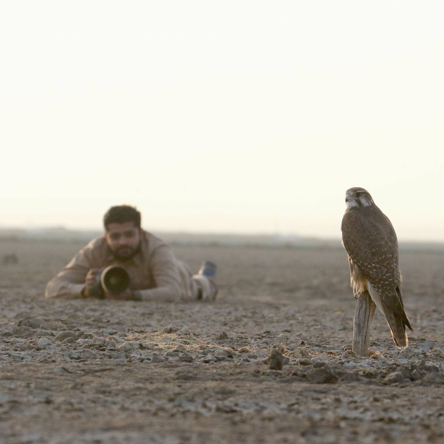 Famous Indian Ornithologist Devvratsinh Mori is becoming the next ...