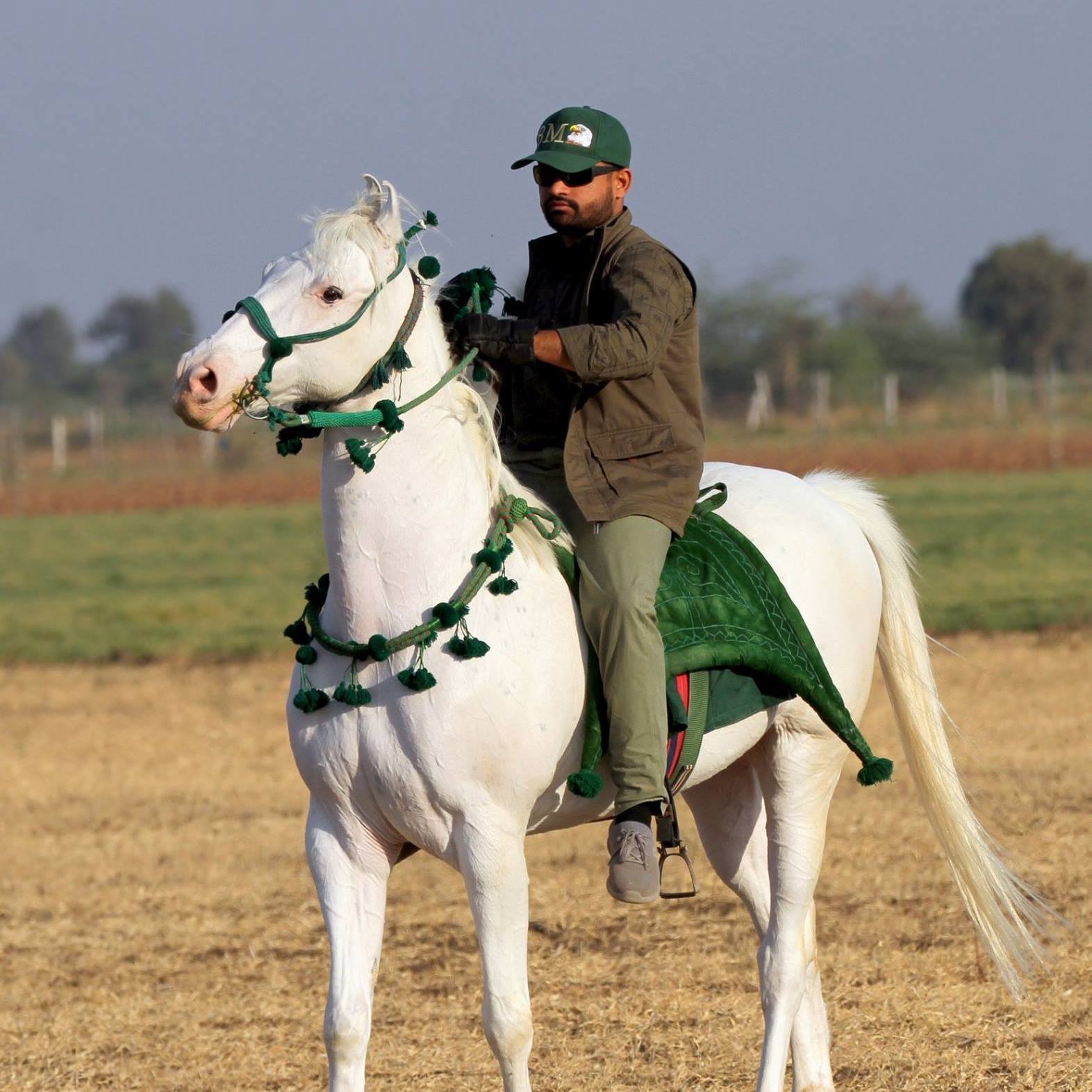 Famous Indian Ornithologist Devvratsinh Mori is becoming the next ...